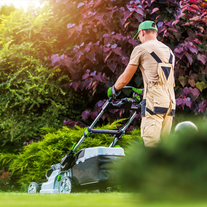 AAA Lawn Services - Adelaide Lawn Mowing & Lawn Care Programs